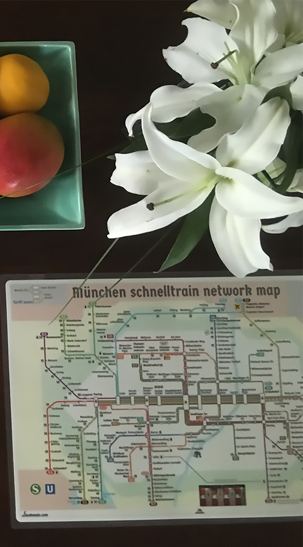 Learning Placemat Guides are Otterly Fun